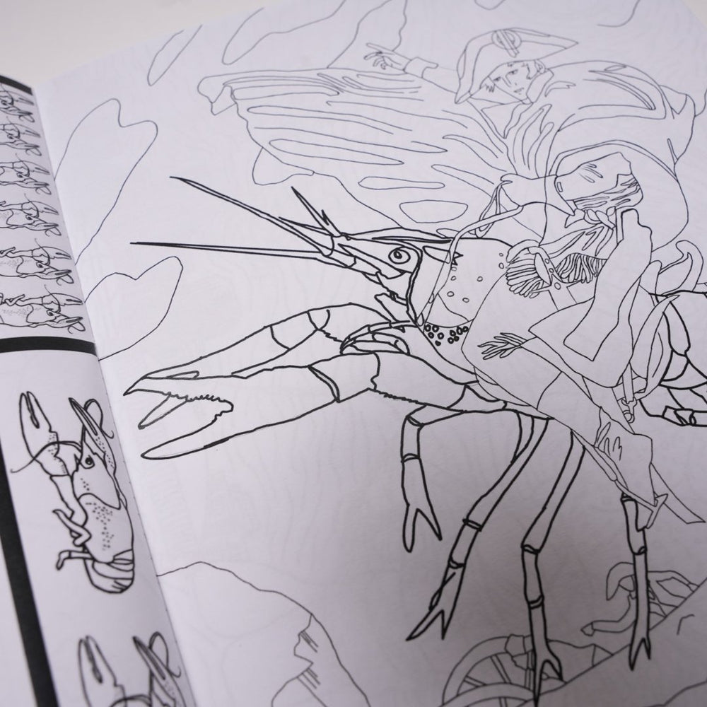 crawfish coloring book